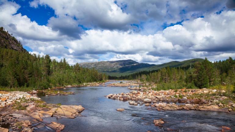 University Of Agder | EM Strasbourg Business School